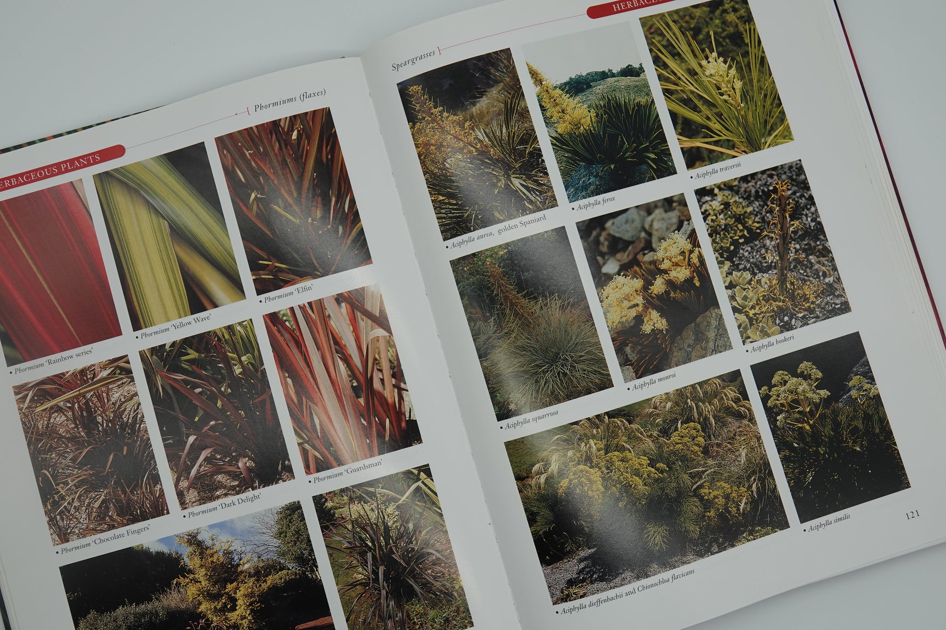 The Gardener's Encyclopedia of New Zealand Native Plants – Anec•dote
